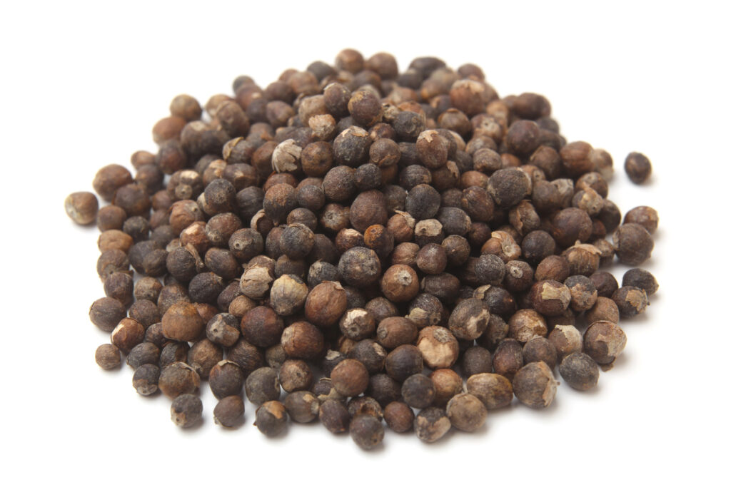 Chaste Tree Berries (Powder) - African Horse Fly Spray
